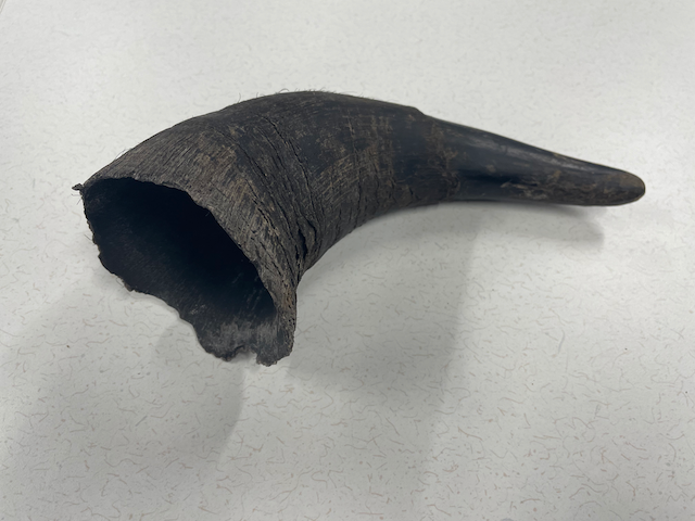 buffalo horn – Ahtove