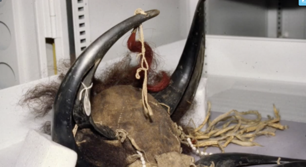 buffalo horn – Ahtove